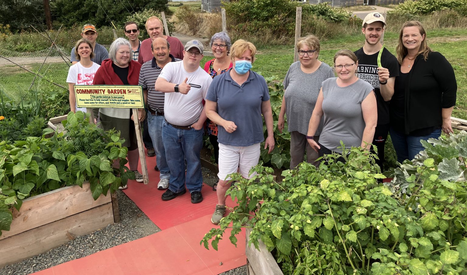 Gardening as a team sport – Participaper