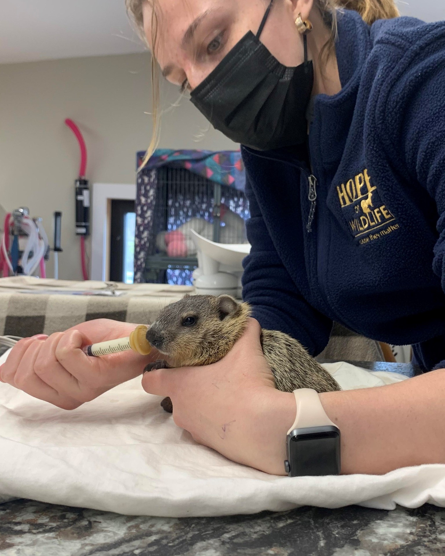 Hope for Wildlife opens Inverness County clinic – Participaper